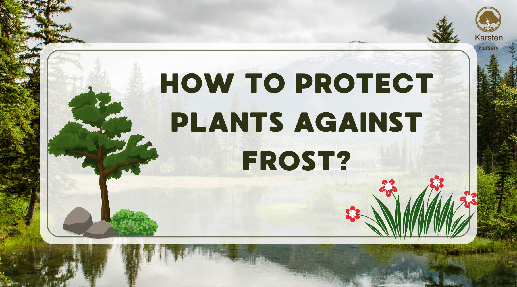 How to Protect Plants from Frost: Easy Winter Garden Care Tips