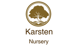 How Long Do Oak Trees Live? — Lifespan & Facts | Karsten Nursery