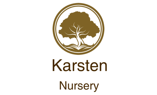 How Long Do Oak Trees Live? — Lifespan & Facts | Karsten Nursery